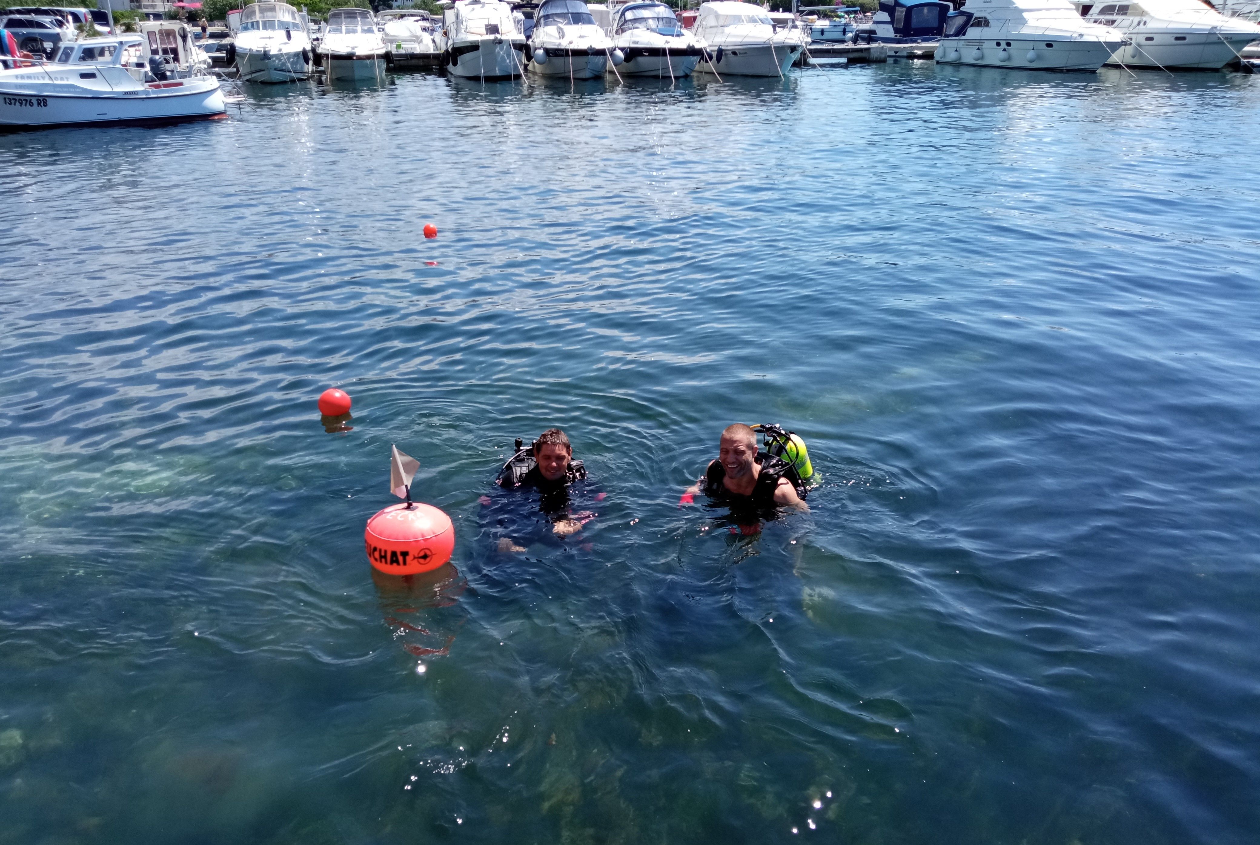 U Barbatu na Rabu pronađena živa periska, dobila je ime Mia po ...