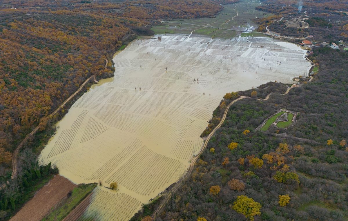 FOTO Vrbničko polje kao veliko jezero, ugroženi mladi vinogradi; DHMZ ...